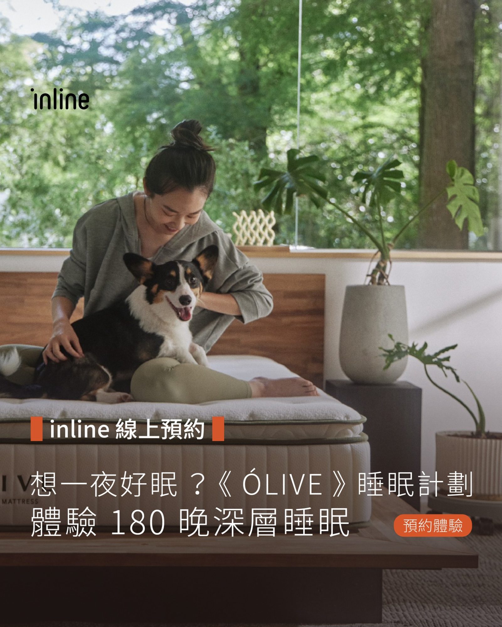 Privacy Policy - inline